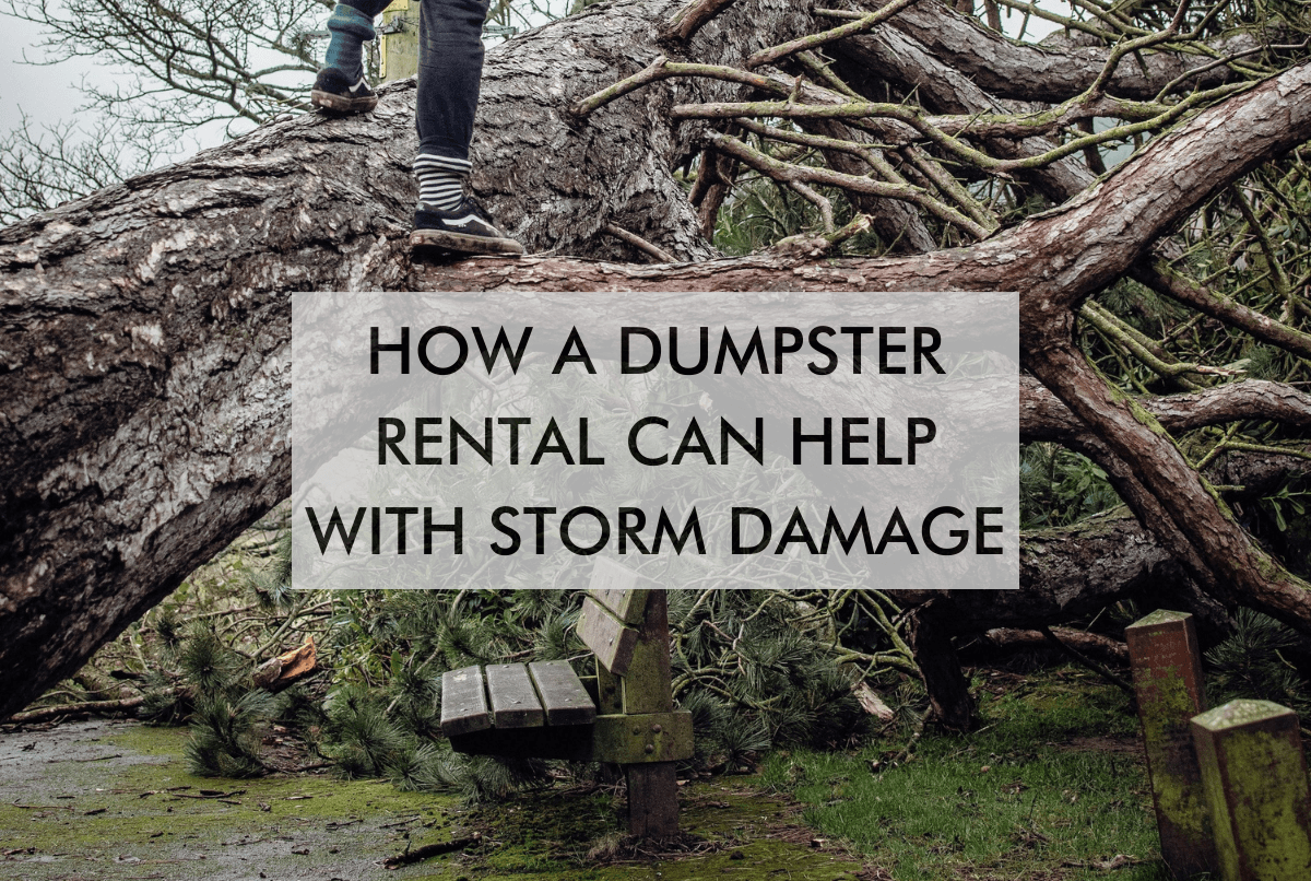 How A Dumpster Rental Can Help With Storm Damage | redbox+ of West Phoenix